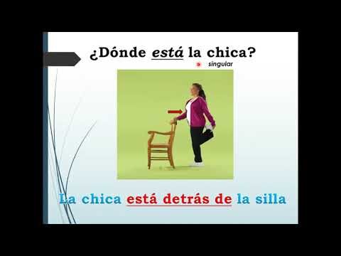 Ubicar y Situar: Claves para una Organización Eficiente | Actualizado ...