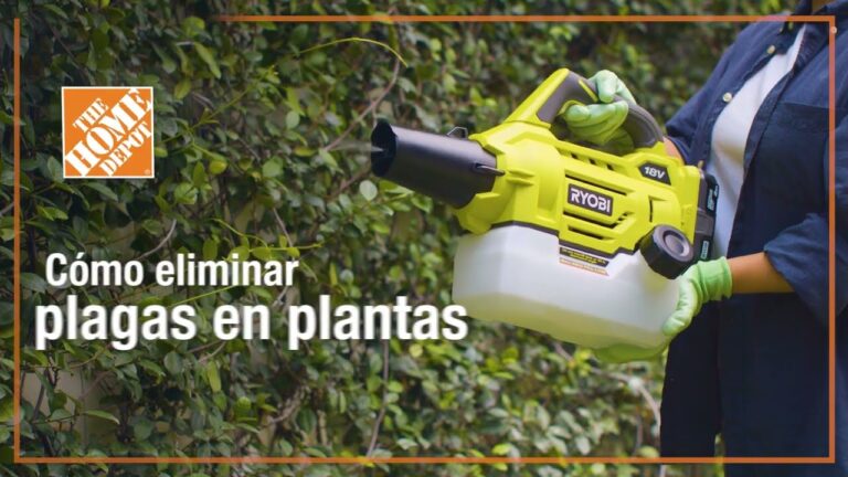 Guía para eliminar plagas de plantas de forma efectiva | Actualizado octubre 2025
